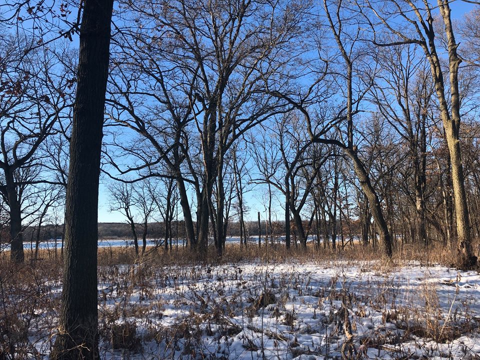 Madison Thinning Deer Population - WORT-FM 89.9