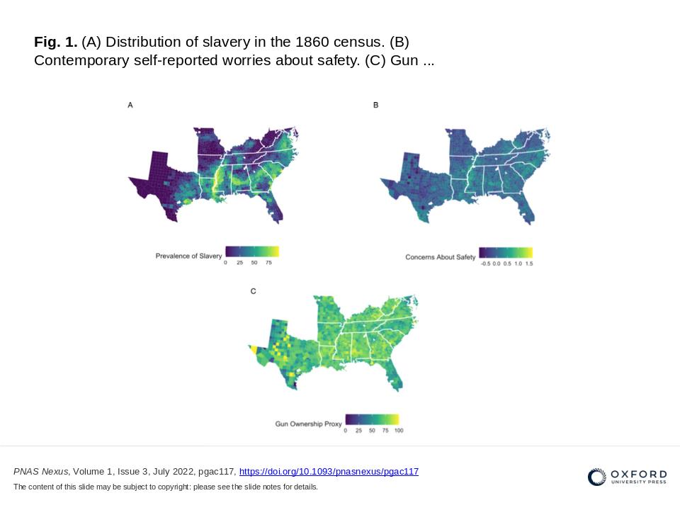 Gun Ownership and Slavery Historically Linked - WORT-FM 89.9