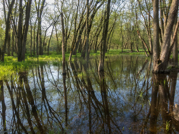 Learn about the Wisconsin Wetlands Association - WORT-FM 89.9