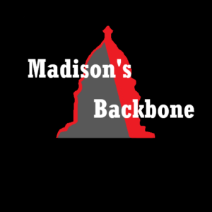 Low-Salt Roads: UW Madison Criticized for Salt Use After Snow Storm ...
