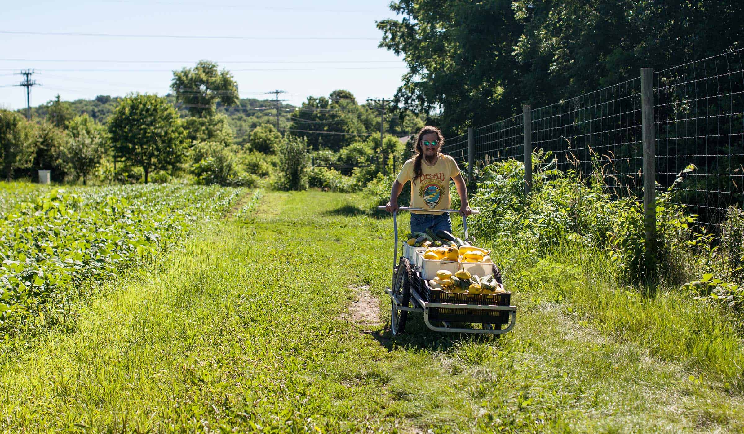 Rooted Wisconsin's Nicholas Leete Discusses Troy Farm's Future - WORT ...