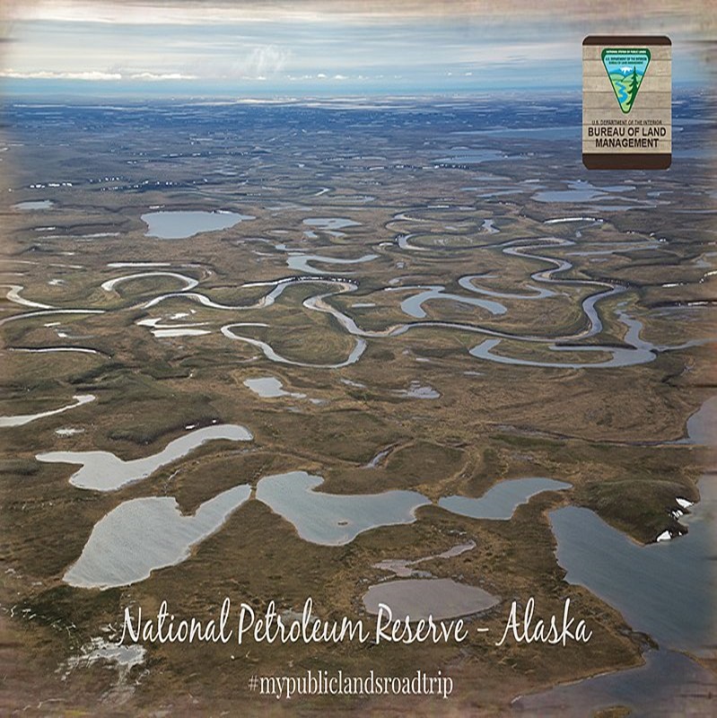 Earthjustice: New Arctic Drilling Restrictions Must be Strengthened ...