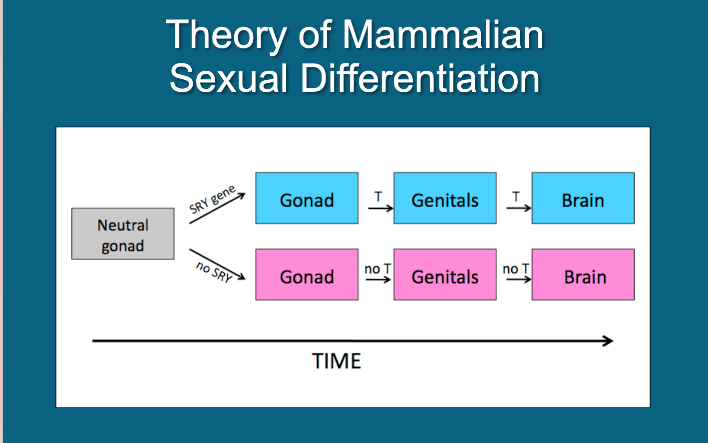 Biology Sex And Gender Wort Fm 89 9