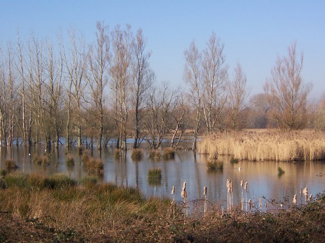 Wisconsin Wetland Association Celebrates American Wetlands Month - WORT ...