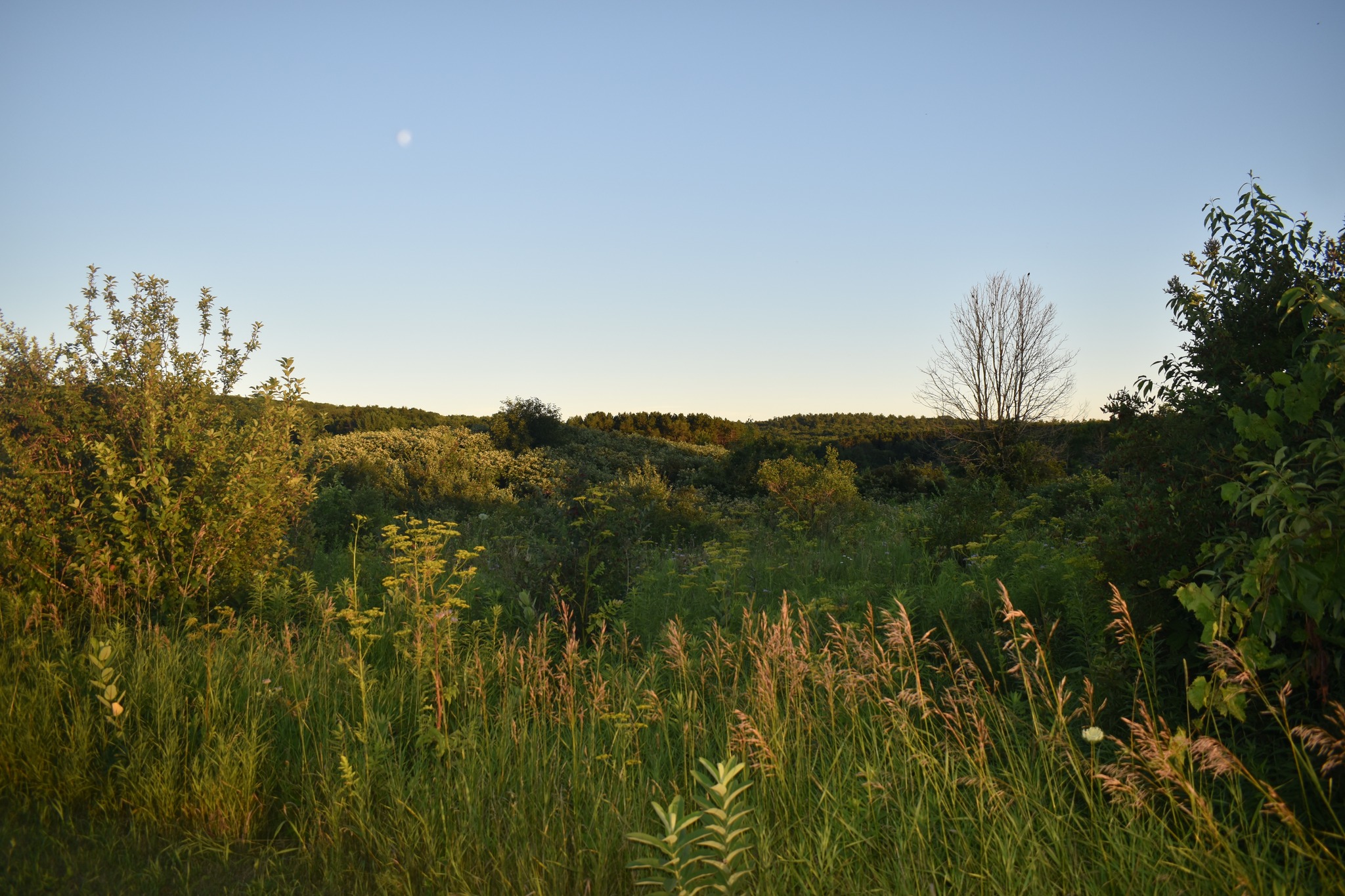 Democrats introduce “compromise” bill to save Knowles-Nelson ...