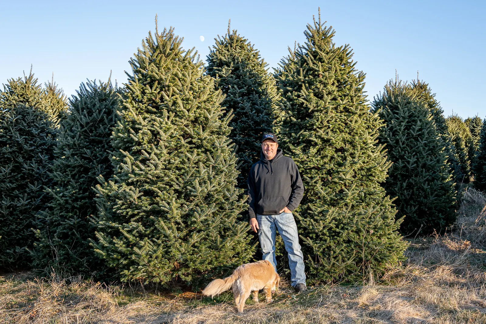 Opening weekend at Tate’s Christmas Tree Farm - WORT-FM 89.9