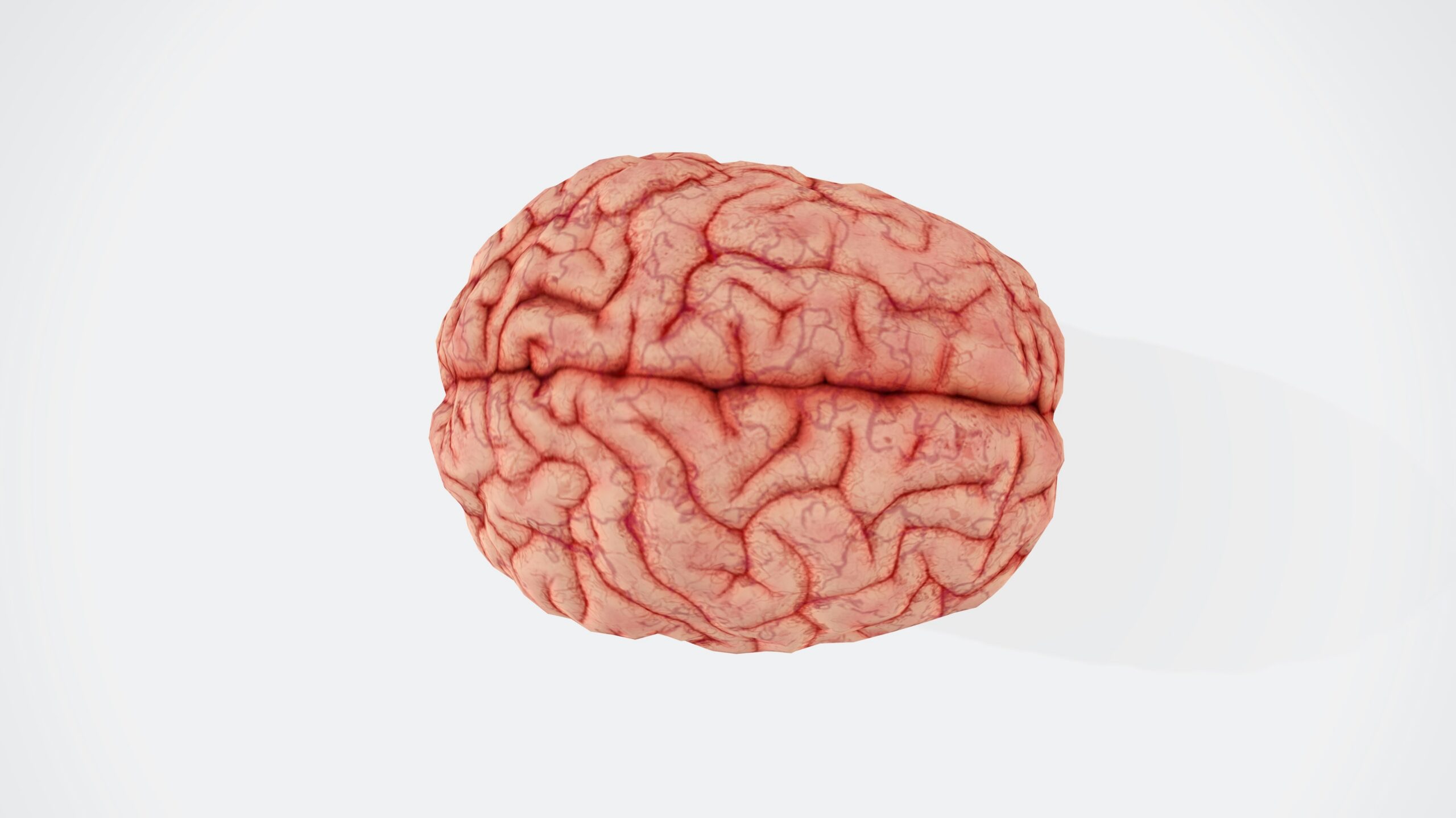 Use Your Brain, Human! - WORT-FM 89.9
