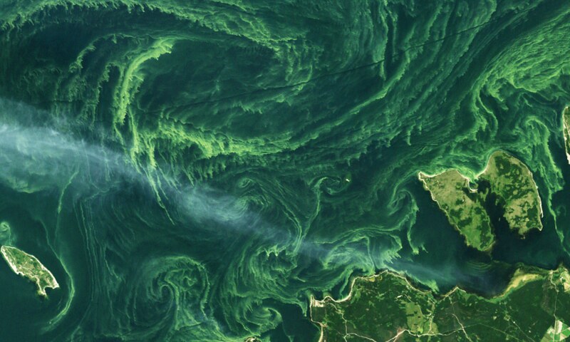 Phosphorus, That’s What’s in the Lakes - WORT-FM 89.9